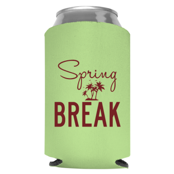 spring break ale