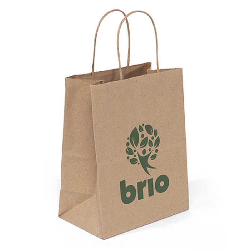 7.75 X 9.75 Inch Eco Shopper Mini Paper Gift Bags - 24HourWristbands.Com