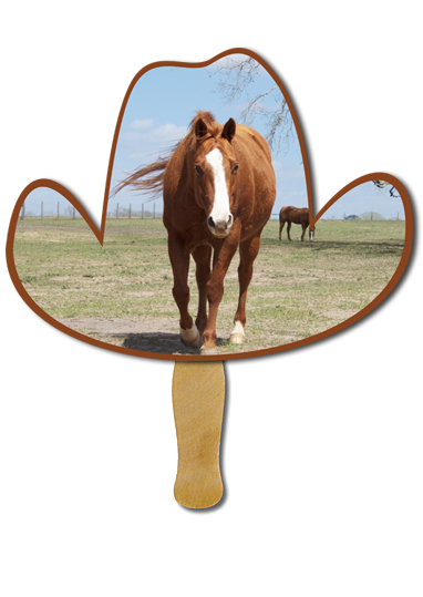 Custom Hand Fans - 24HourWristbands.Com